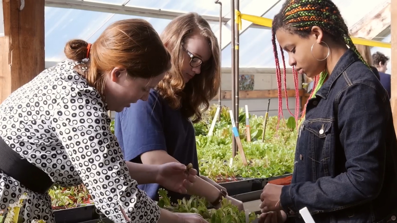 Why Community Service Hours Are Essential for Students - Lopez Family ...